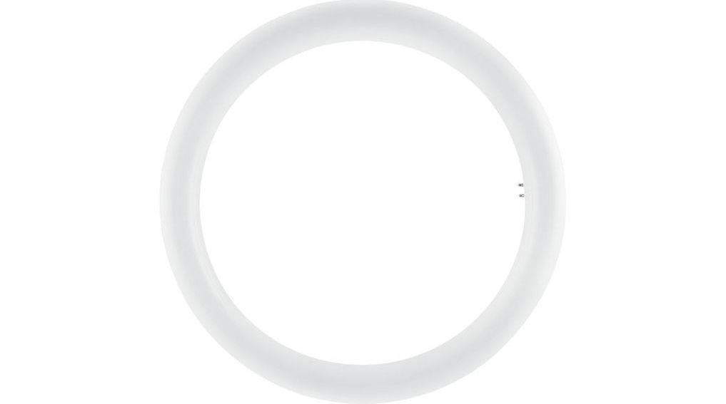 Los 9 mejores TUBOS CIRCULARES LED de 2025【Comparativa】